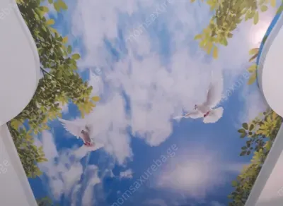 ბარისოლის მონტაჟი თბილისში - 591004680